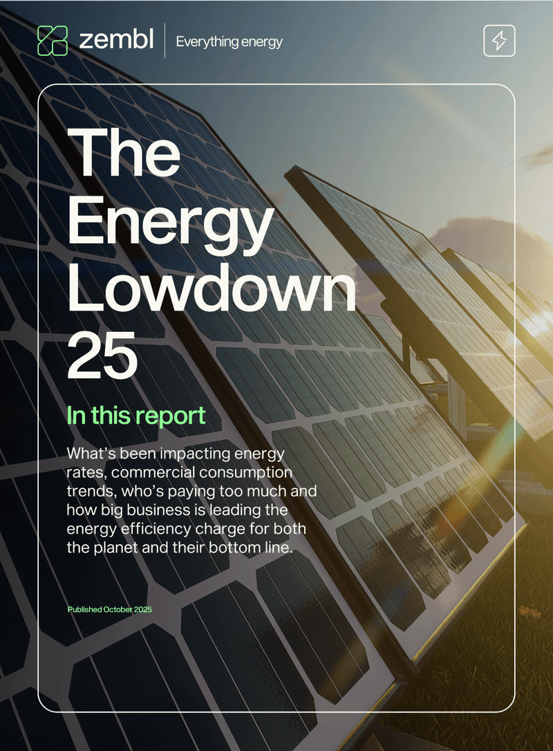 The Energy Lowdown 25: Australian business energy report